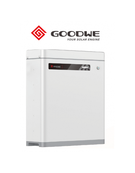 Buy Battery GOODWE 48V 100A 5,4kWh Low Voltage | Tienda Solar